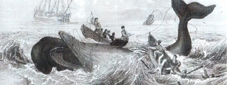 The Wellerman & the Cross Cultural Whaling History of New Zealand
