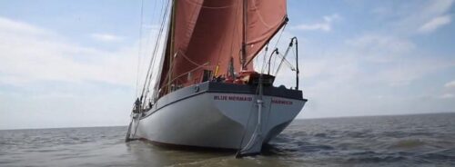 Old Salt Blog Home Page